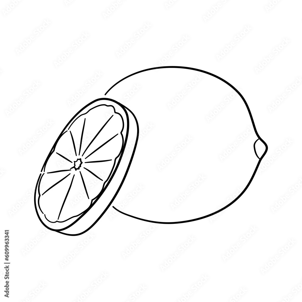 Lime. Hand drawn outline doodle icon. Transparent isolated on white ...