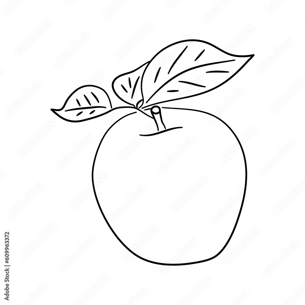 Apple. Hand drawn outline doodle icon. Transparent isolated on white ...