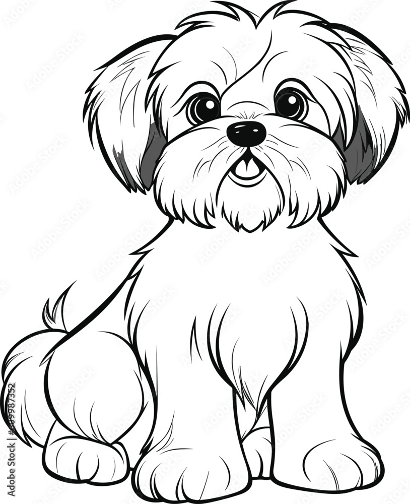 Shih Tzu Dog, colouring book for kids, vector illustration Stock Vector ...