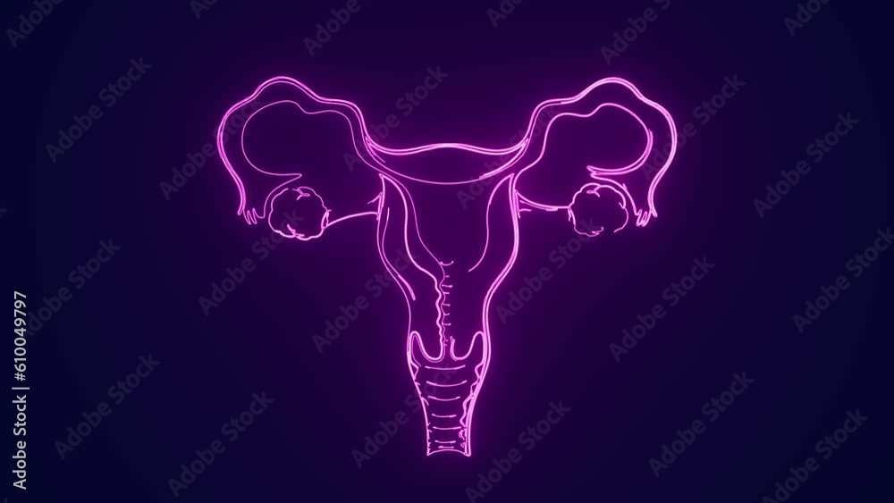 Female reproductive system in human body anatomy animation Stock 비디오 ...