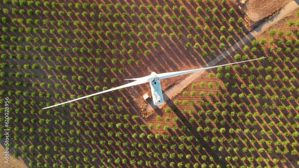 Aerial top view of a wind turbine over an almond agricultural field at ...