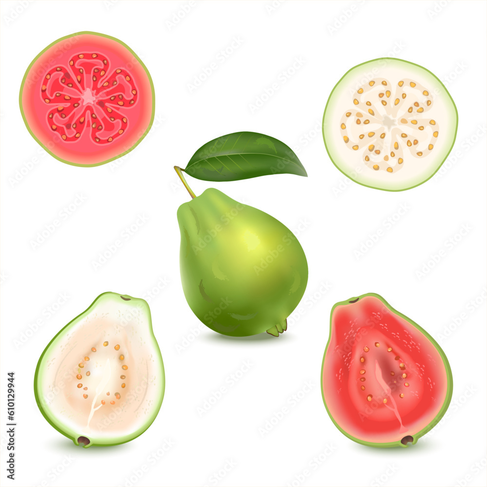 Set of realistic illustration of white and red guava. Fresh whole guava ...