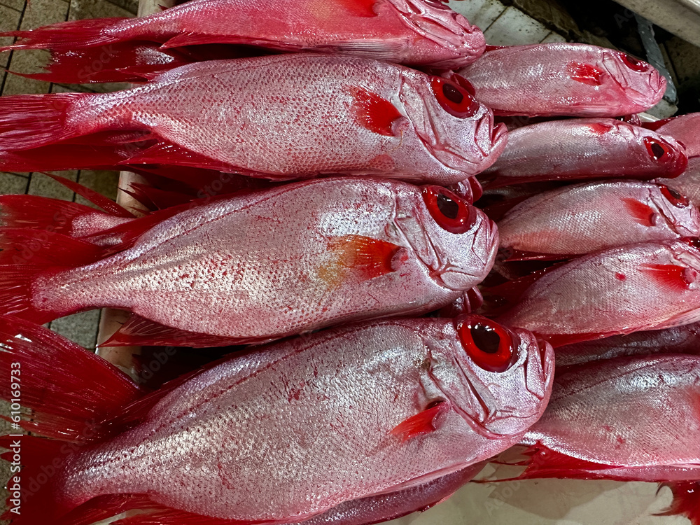 Variety of marine sea fish sold at Tawau Sabah wet fish market in ...