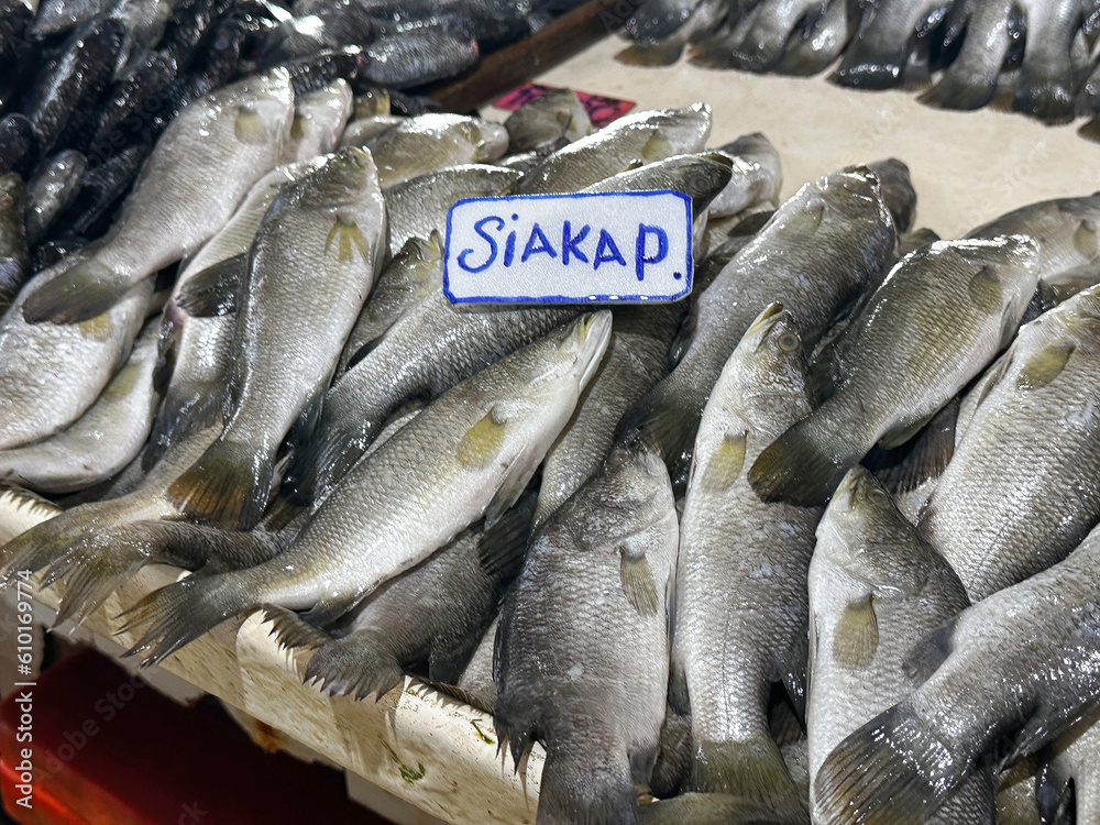 Variety of marine sea fish sold at Tawau Sabah wet fish market in ...