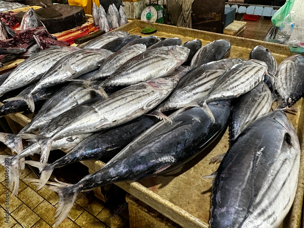 Variety of marine sea fish sold at Tawau Sabah wet fish market in ...