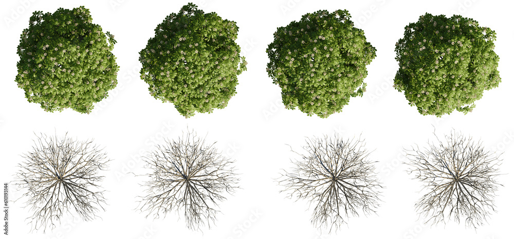 set of trees rendered from the top view, 3D illustration, for digital ...