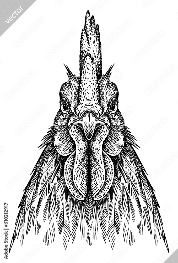 Vintage engraving isolated chicken set illustration rooster ink sketch ...