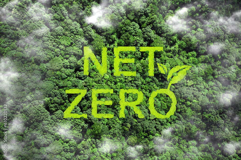 Net zero and carbon neutral concept.Net Zero text on green grass with forest for net zero ...