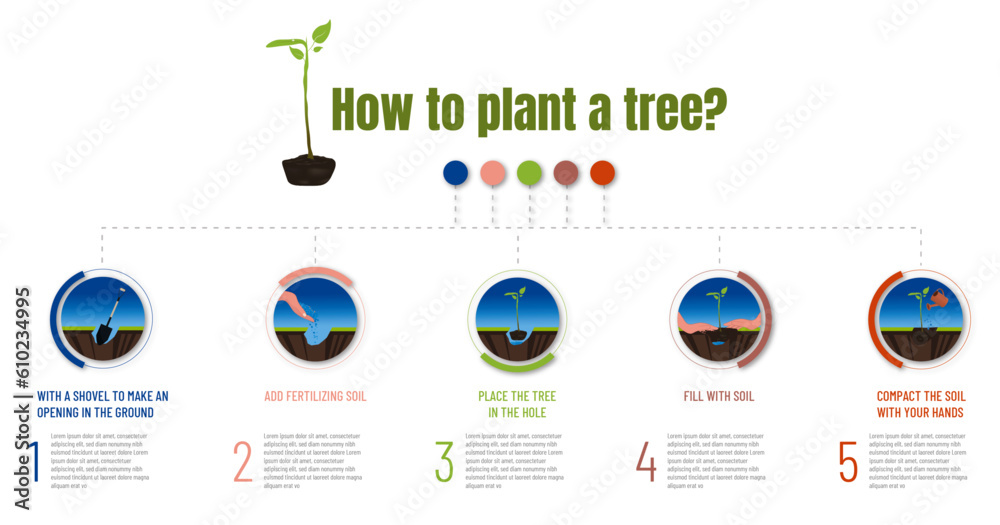 Infographic of the steps to follow to plant a tree and collaborate in ...