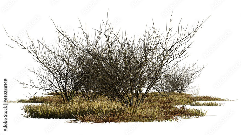 dry bushes and grass in the savanna, isolated on transparent background ...
