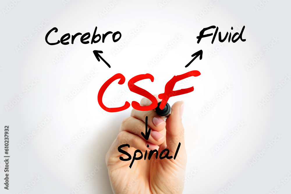 CSF Cerebrospinal Fluid - clear fluid that surrounds the brain and ...