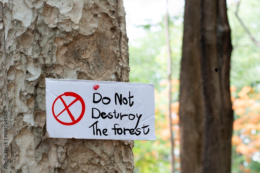 Cardboard from boxes cover with heart drawing and texts 'Do Not Destroy ...