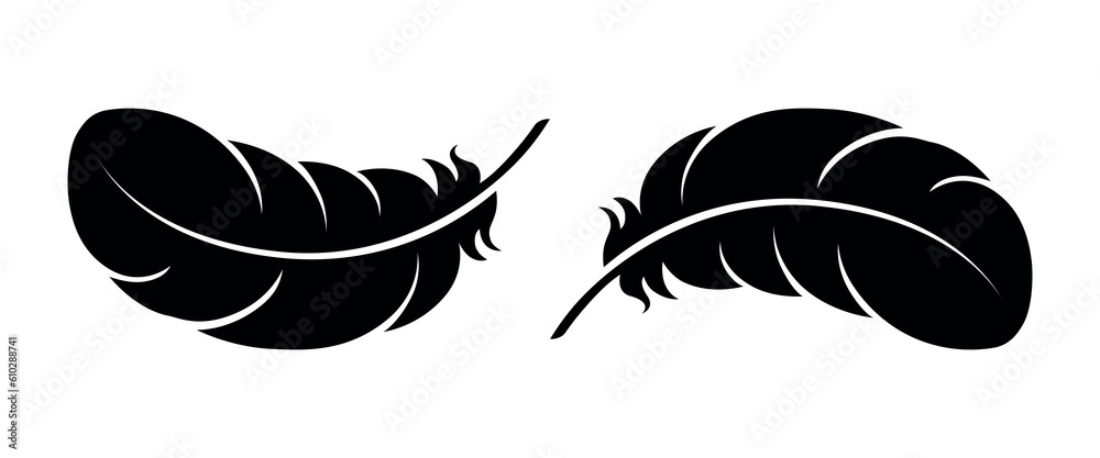 Two bird feather graphic icon. Feathers sign isolated on white ...