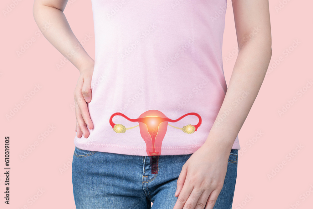 Healthy uterus and ovaries anatomy on female body over pink background ...