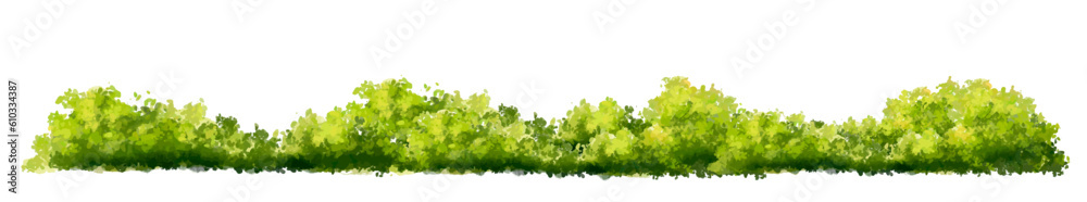 Vector of green grass or shrub isolated on white background,tree ...