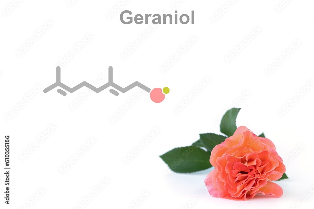 Simplified formula icon of geraniol and an orange tea rose. Stock Photo ...