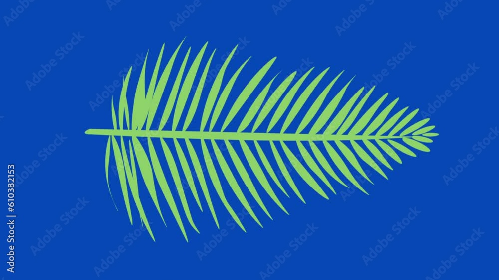 Animated Flat Style Fresh Palm Leave Isolated on Blue Chroma Key. Green ...