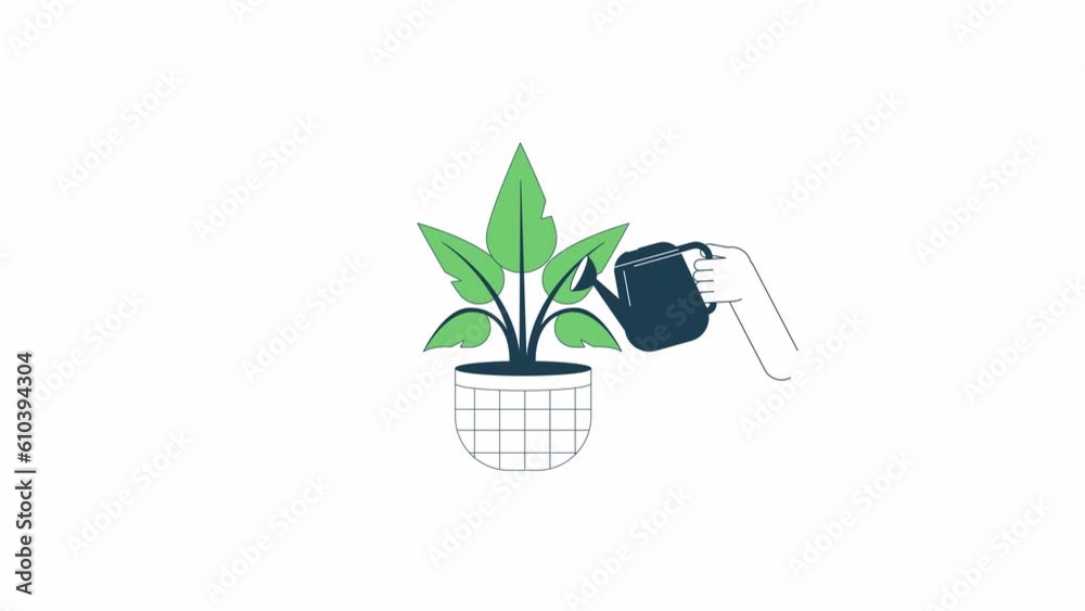 Hand watering plant animation. Animated isolated 2D gardener watering ...