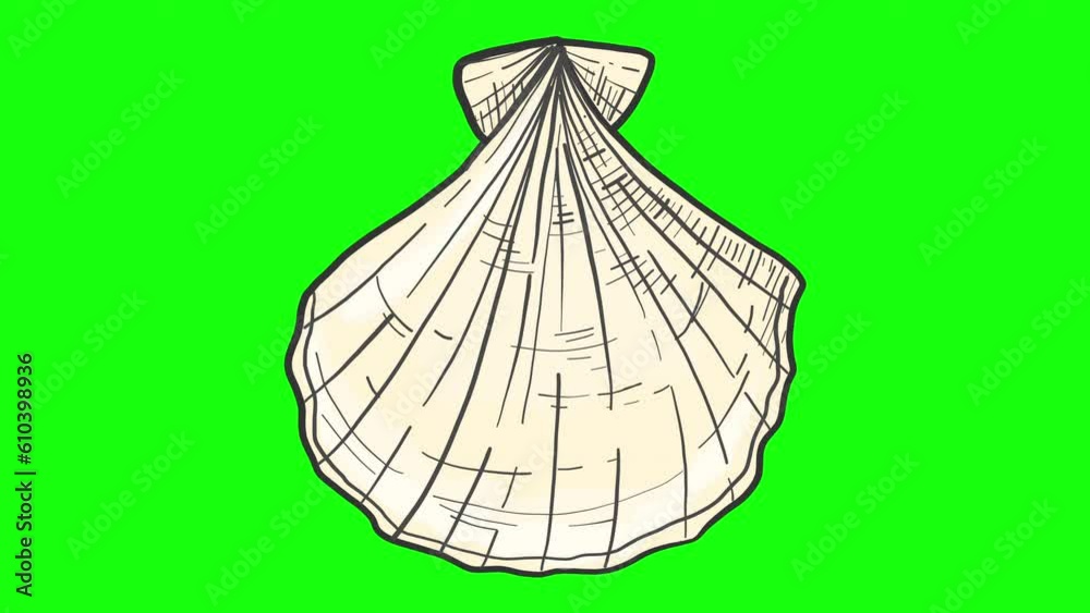 Animated Hand Drawn Vintage Seashell Sticker Design Sea and Beach ...