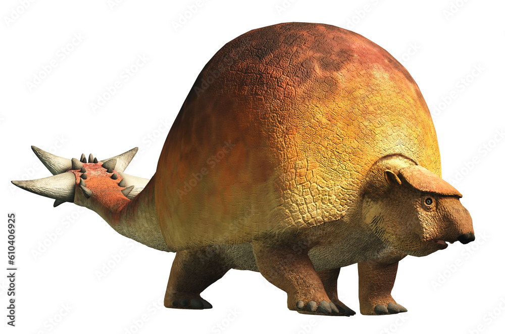 Doedicurus was a prehistoric mammal, a type of glyptodont that ...