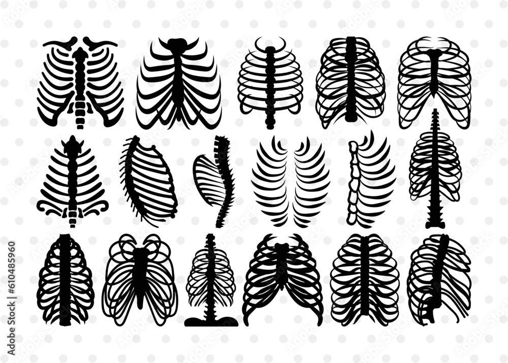Skeleton Rib Cage Silhouette, Skeleton Rib Cage SVG, Skeleton Svg, Rib ...