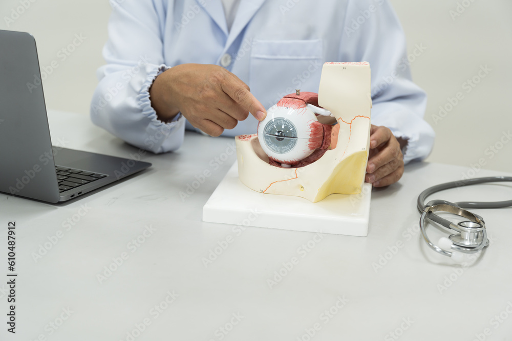 Ophthalmologist explain patient with eye anatomy model on white ...