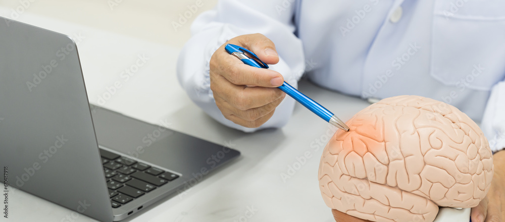 Neurologist hand pointing brain anatomy human model and brain disease ...