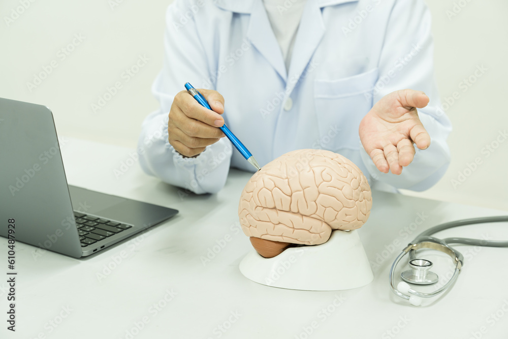 Neurologist hand pointing brain anatomy human model and brain disease ...