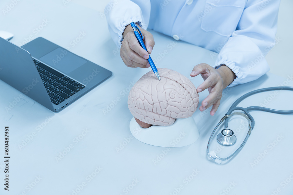 Neurologist hand pointing brain anatomy human model and brain disease ...