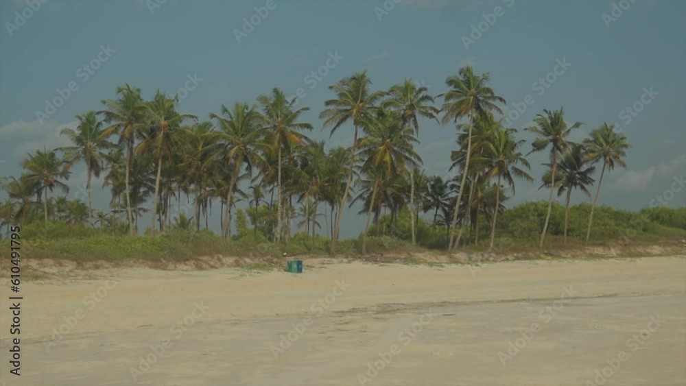 Wide angle shot of palm trees besides the empty Beach with no people at ...