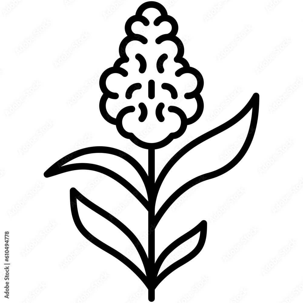 Sorghum Icon. Sorgo Grass Leaf Symbol Stock Illustration. Vector Line ...