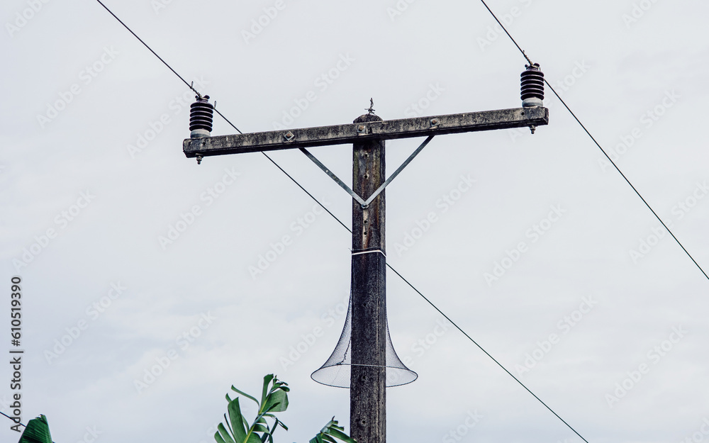 Nylon mesh or snake guard net around electric pole for protect animals ...