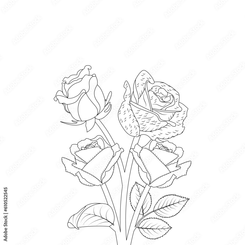 Beautiful Black And White Rose Flower Line Art Vector Illustration ...