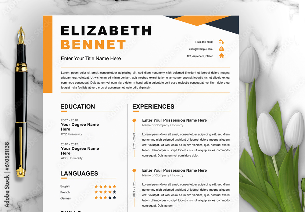 Clean and Professional Resume CV Templates Stock Template | Adobe Stock