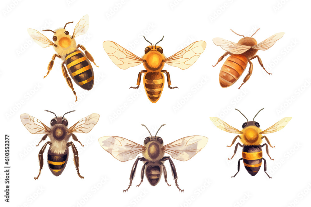 Bee set collection graphic clipart design. Generative AI Stock ...