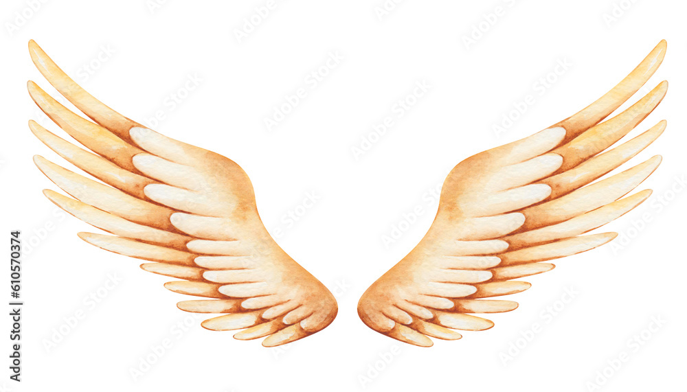 Watercolor illustration. Hand painted spread wings, yellow, golden ...