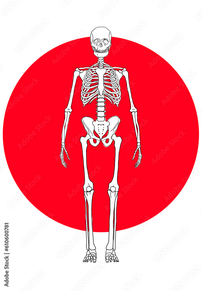 Skeleton Line Drawing Spaceman Hand Drawn Red Sun Graphic Retro ...