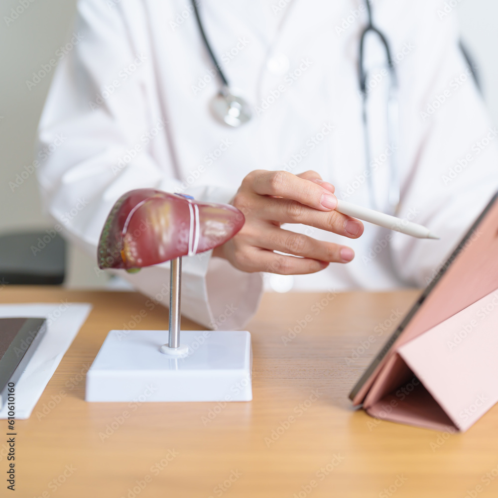 Doctor with human Liver model and tablet. Liver cancer and Tumor ...