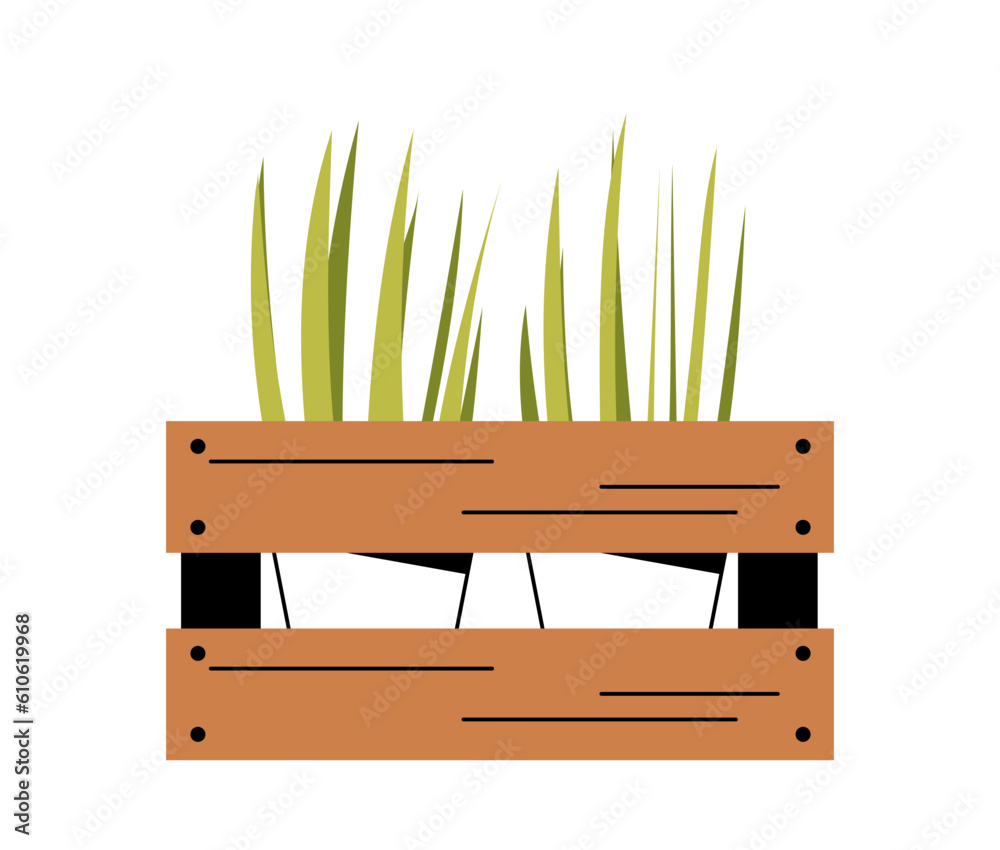 Botanical garden box with flowers concept. Plants and flowers in soil ...