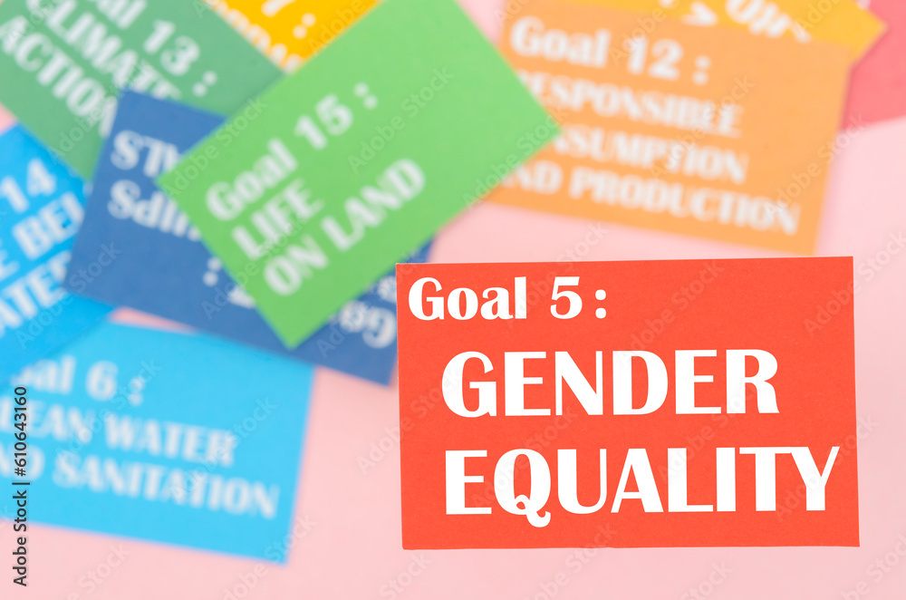 The Goal 5 Gender Equality The Sdgs 17 Development Goals Environment