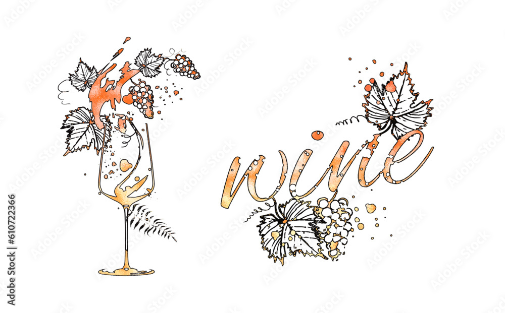 Wine Designs. Collection of wine glasses and bottles. Hand drawn ...