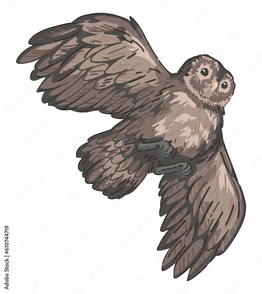 Flying tawny owl clipart in cartoon style. Realistic colored drawing of ...