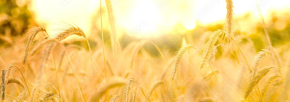 Colorful natural warm background with free space. Rural landscapes ...
