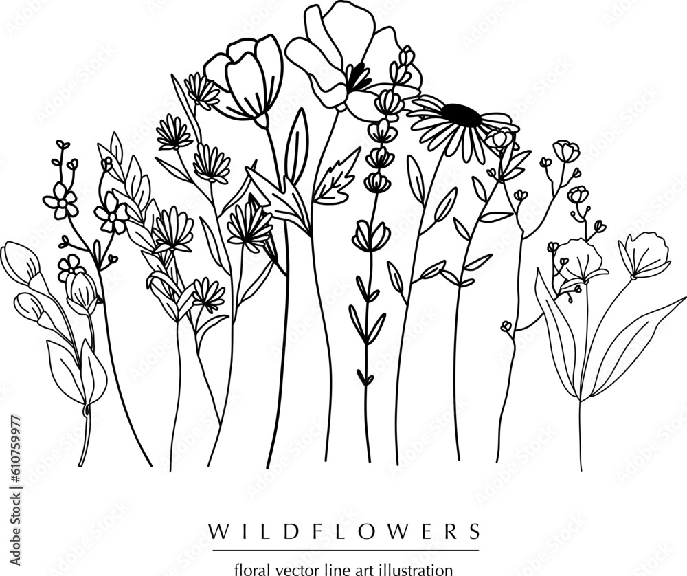 Botanical Abstract Line Art Composition With Wildflowers Minimal