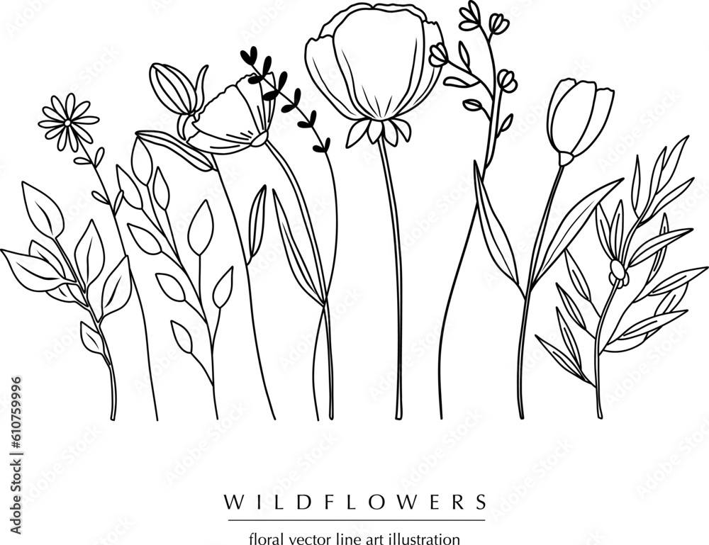 Botanical abstract line art composition, minimal floral border of hand ...