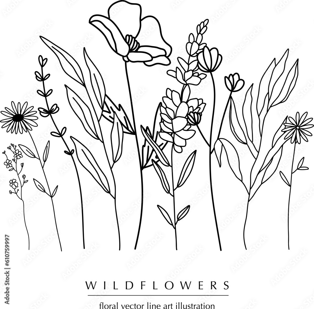 Botanical Abstract Line Art Composition Minimal Floral Border Of Hand