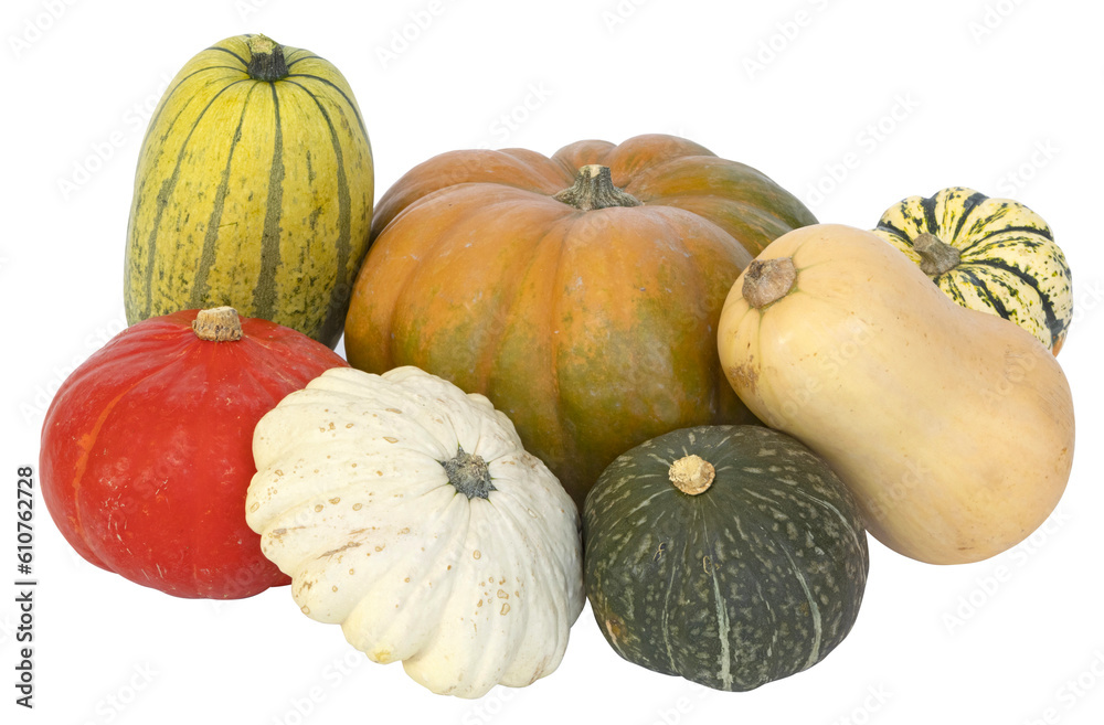 Différentes variétés de courges à consommer foto de Stock | Adobe Stock