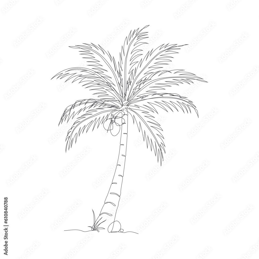 Coconut tree line art drawing. Single continuous line drawing of ...