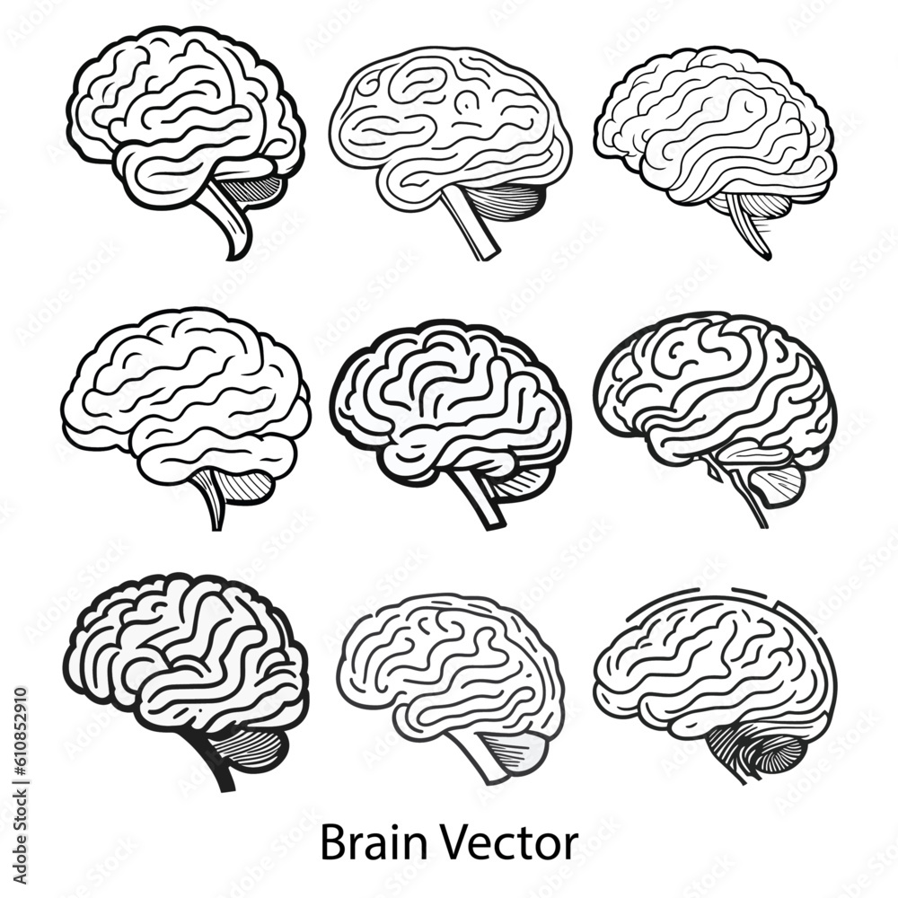 Human Brain on the White Background. Hand Drawn.Vector Illustration ...