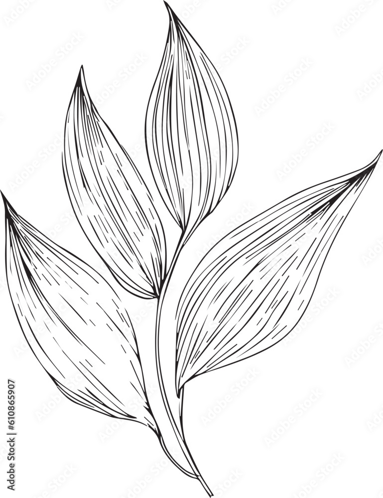 simple botanical flower drawings, easy botanical doodles. aesthetic ...